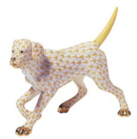 Labrador Walking - Butterscotch – The Finery Jackson